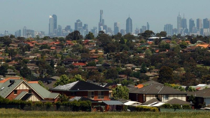 Amandla Stenberg Officially Set to Star in Disney+ Star Wars Series The ...