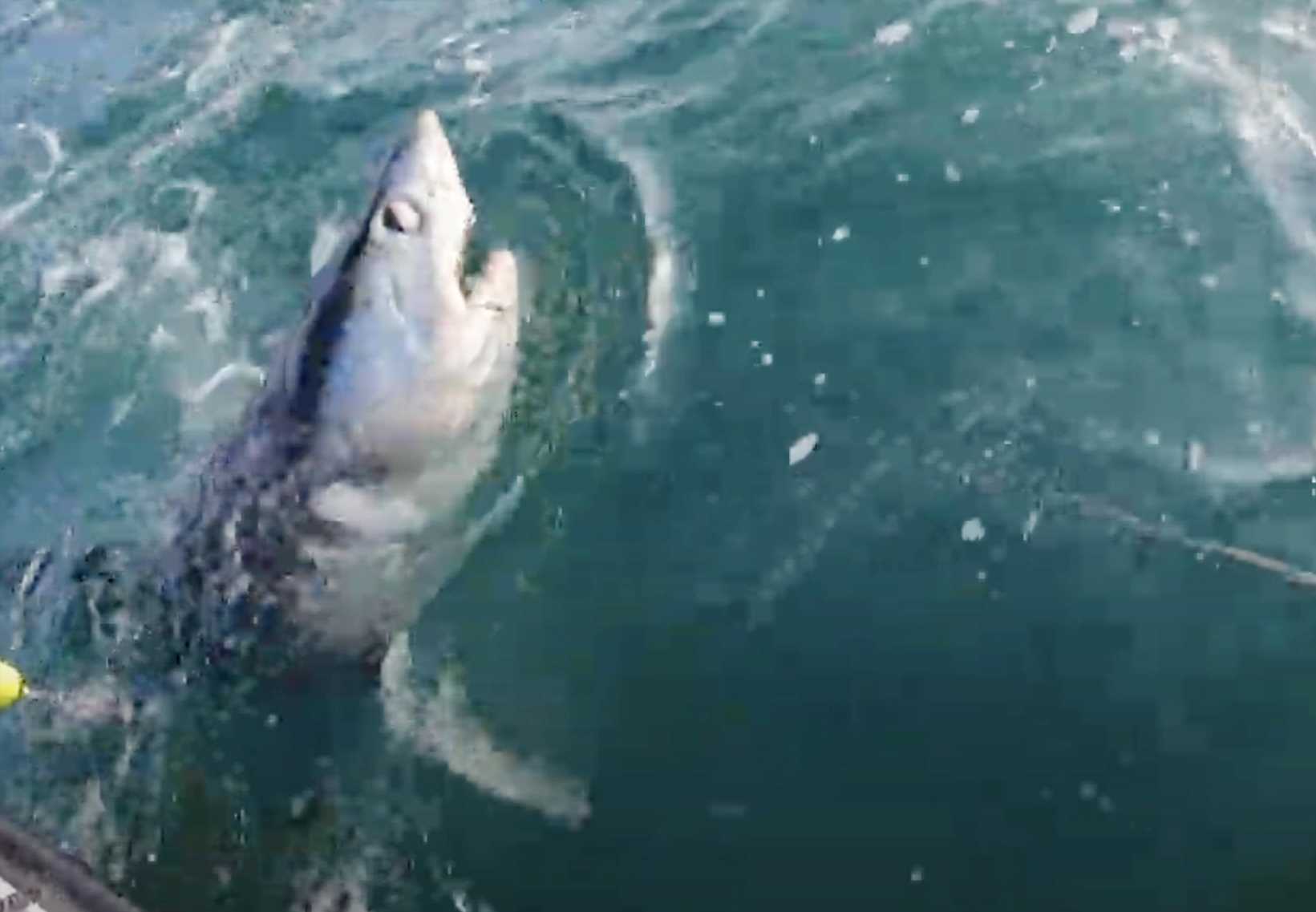 Guess Who This Outgoing Kid Turned Into! - Hot Lifestyle News