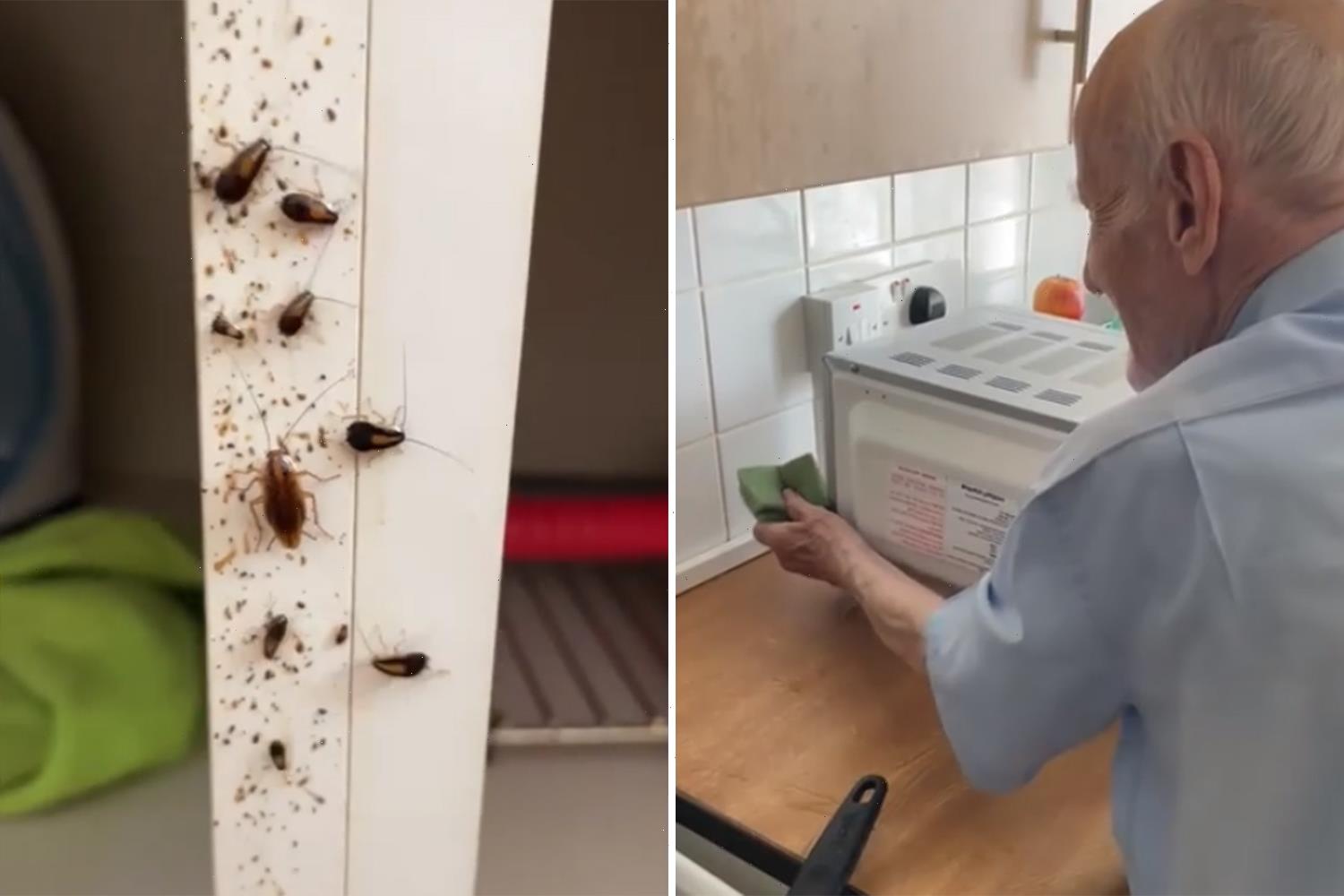 Mariah Carey brands Meghan Markle a 'diva' as she tells her 'it's the ...