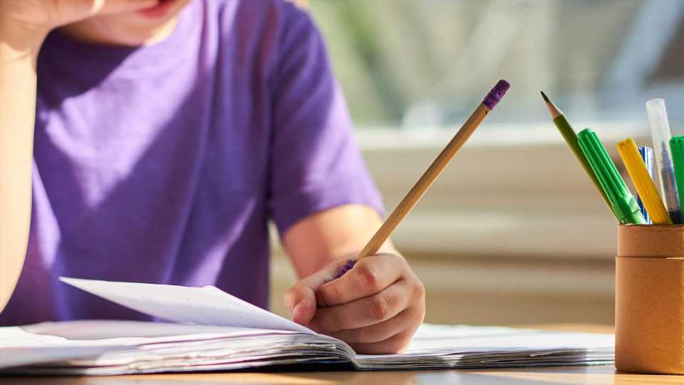 Who invented homework? | The Sun - Hot Lifestyle News