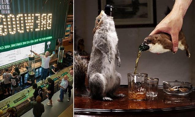 BrewDog employee 'was ordered to find dead squirrels for beer' - Hot ...