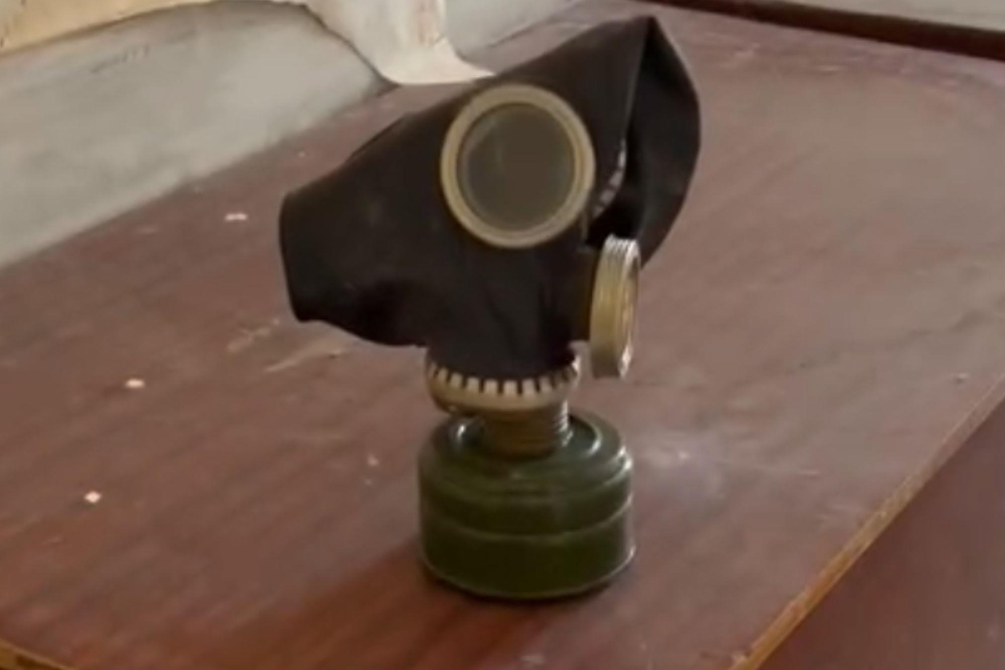 Retired German Shepherd who survived being shot three times gets award ...