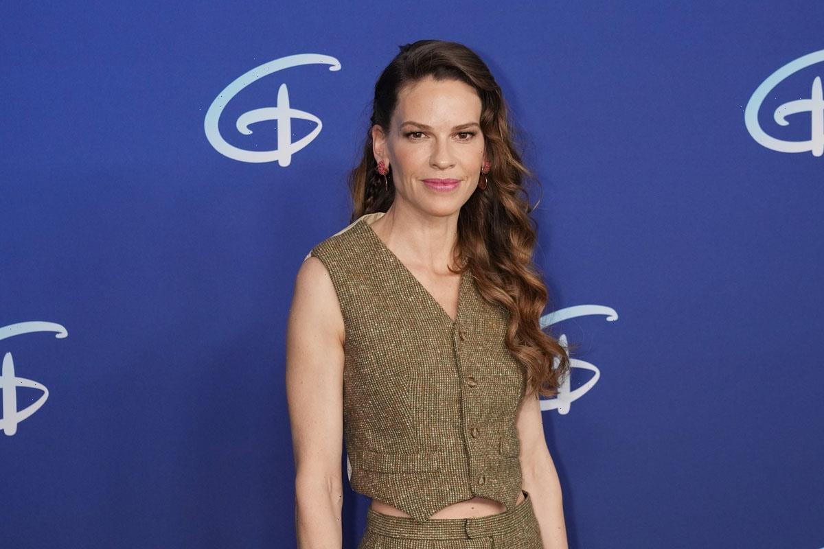 Hilary Swank, 48, announces that she’s pregnant with twins - Hot Lifestyle News