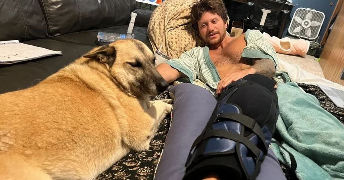 Surfer tells how he survived terrifying 13ft great white shark attack ...