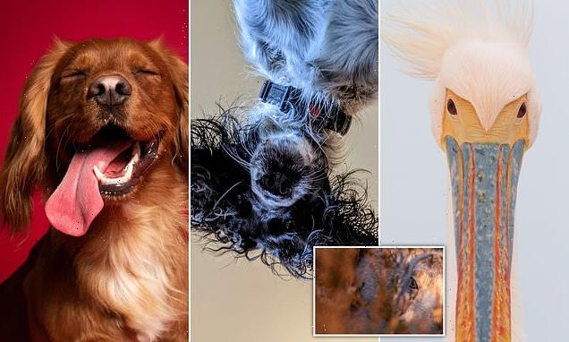 How This TV Personality and Interior Designer Redefines Homemaker and ...