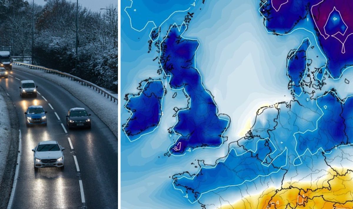 Sylvester Stallone covers second tattoo of wife Jennifer Flavin with leopard - Hot Lifestyle News