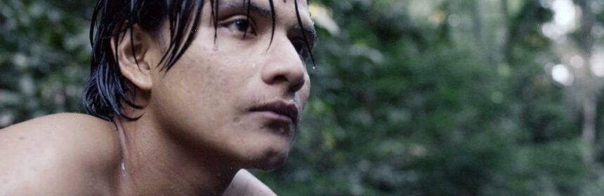 ‘The Territory’ Protagonist Bitaté Uru Eu Wau Wau On His Experience ...