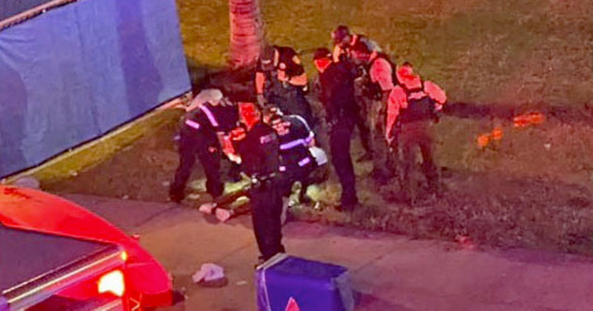 Boozy Spring Break night ends in tragedy as gunman opens fire leaving ...